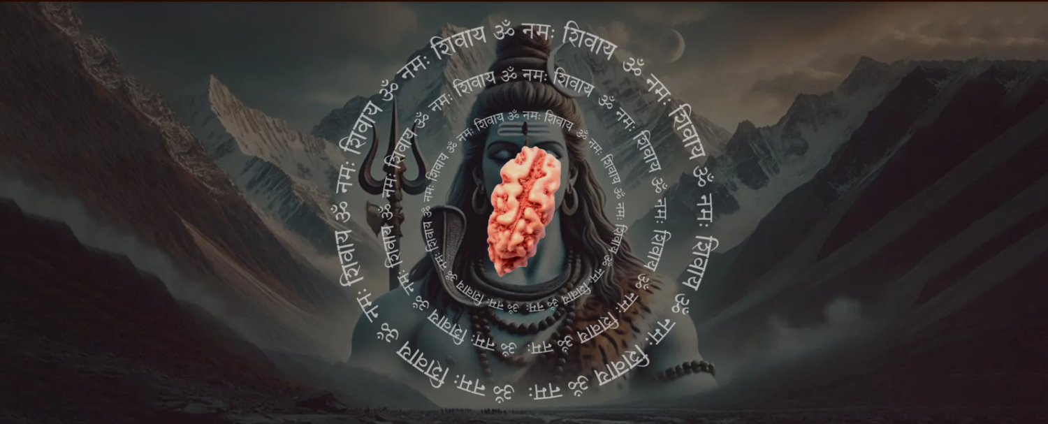 Shiva Ashram | India's Largest Pooja Brand